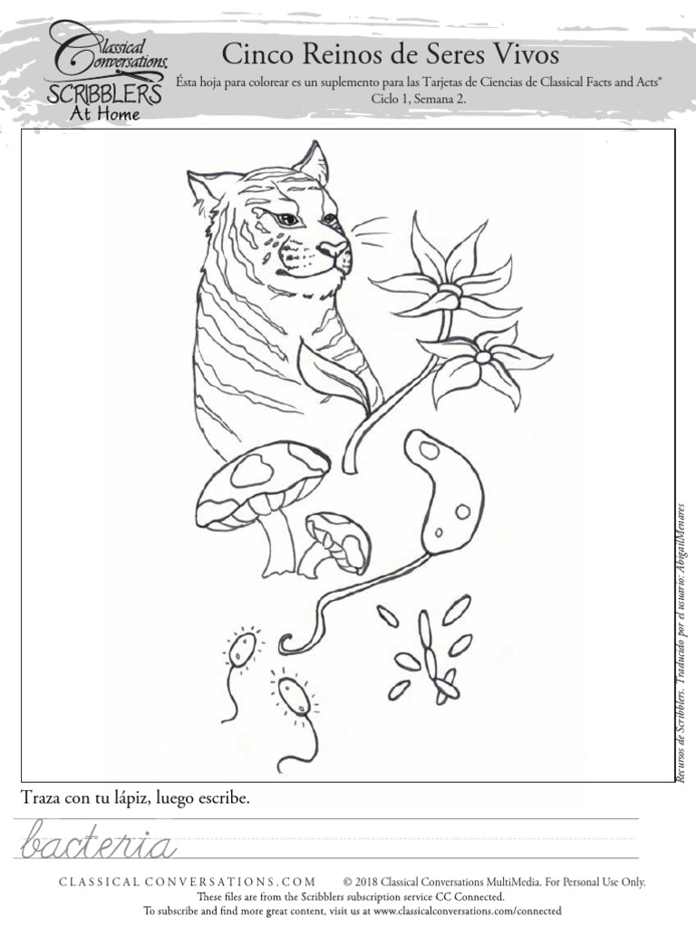 Hoja para Colorear - Scribblers - Ciencias - C1 S2 | PDF