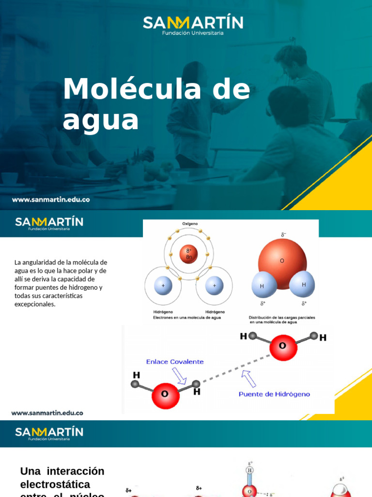 Propiedades Del Agua | PDF | Química | Química Física