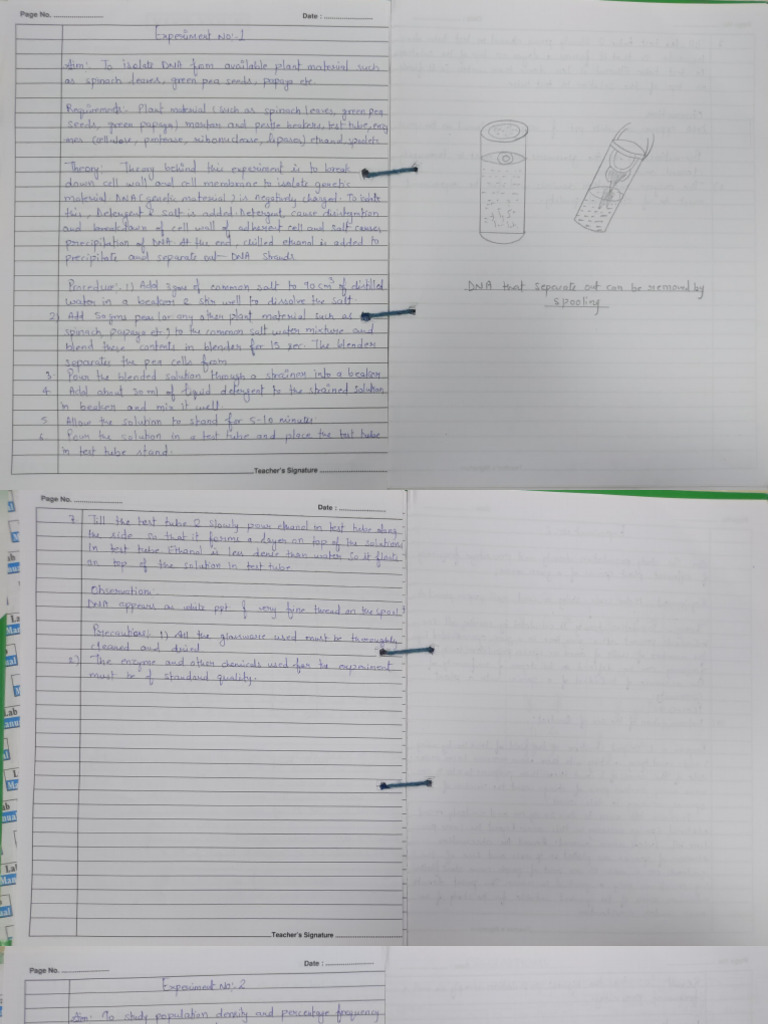 Biology Practical File | PDF