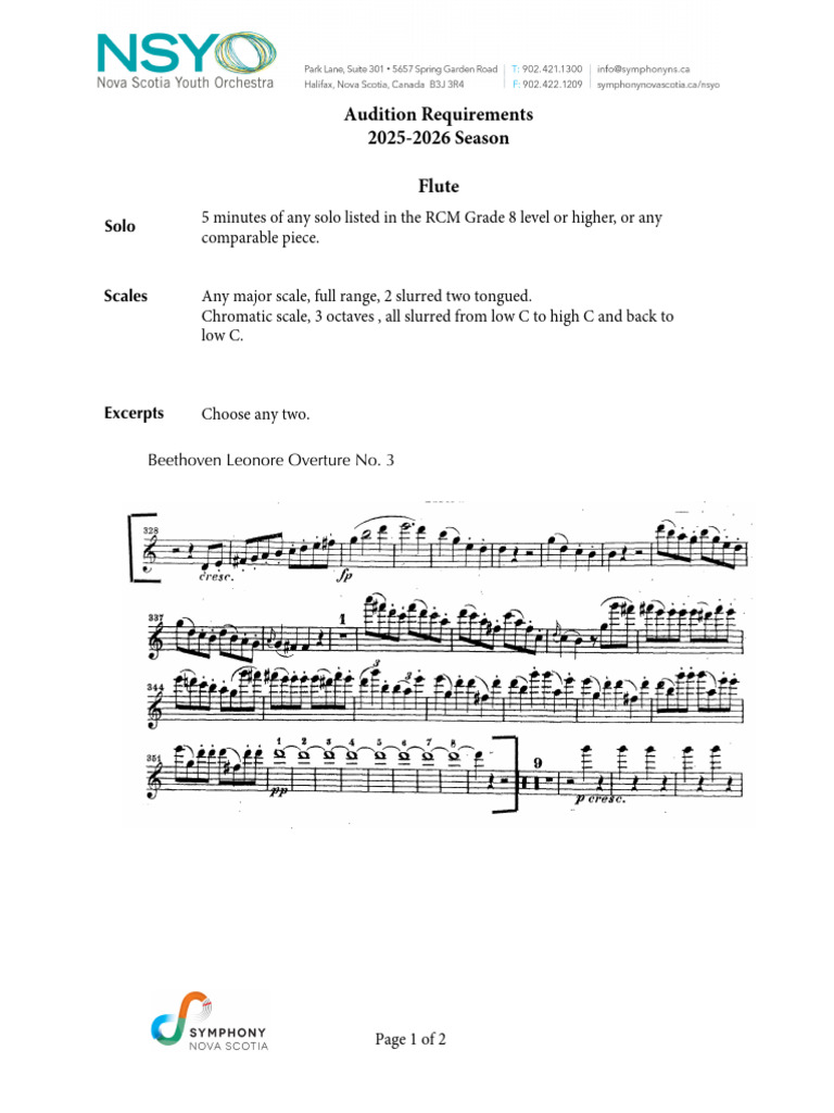 Flute 2025 2026 NSYO Audition Requirements | PDF