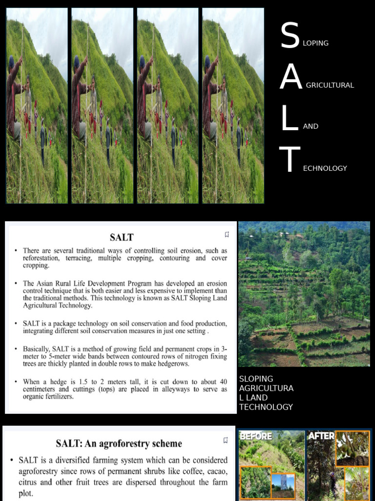Sloping Agricultural Land Technology | PDF