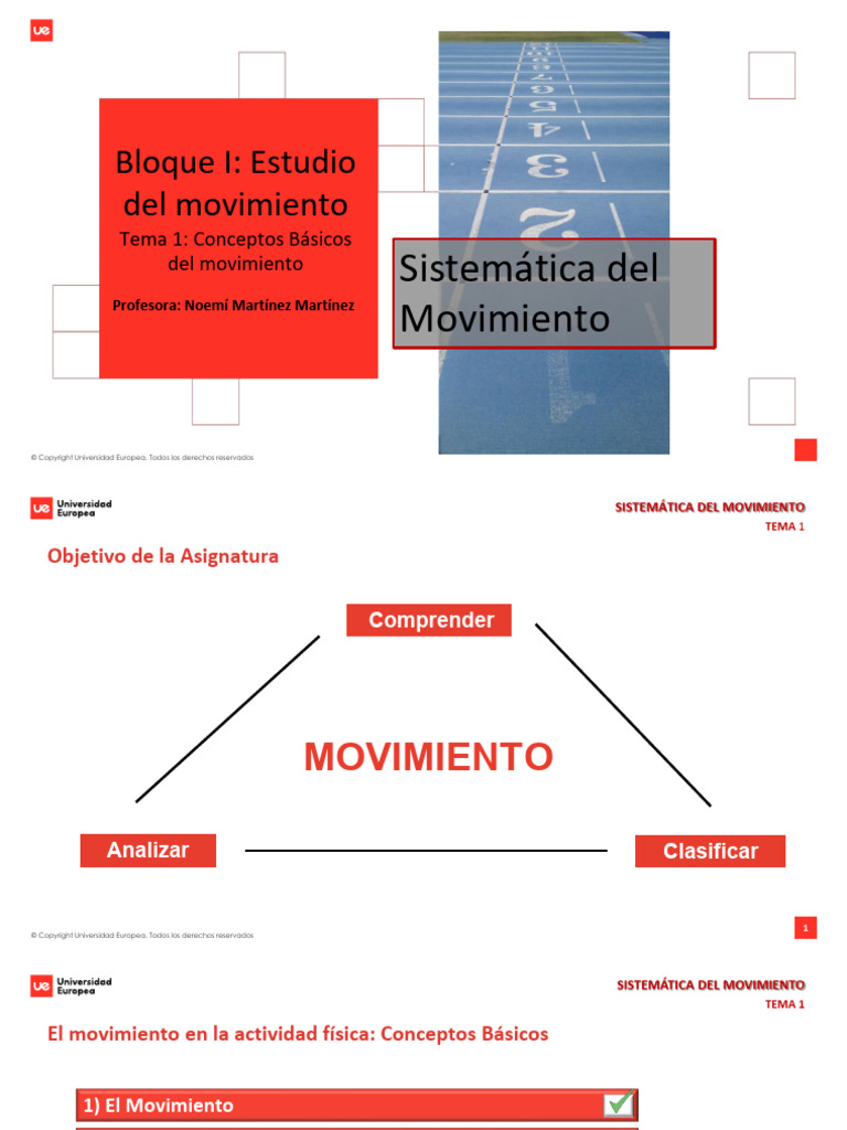 Tema 1. Conceptos Básicos Del Movimiento | PDF | Cerebro | Médula espinal