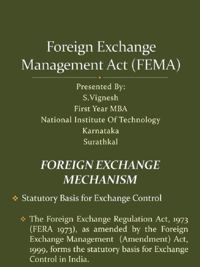 Fema | PDF
