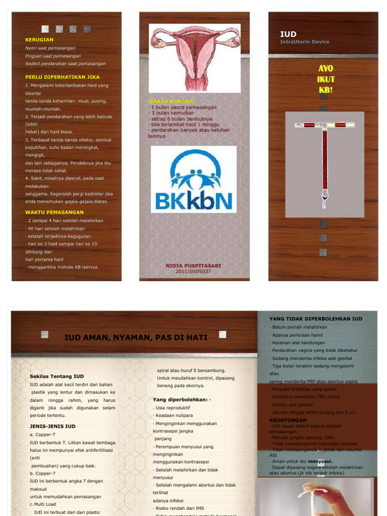 Panduan Pemasangan dan Keuntungan IUD | PDF