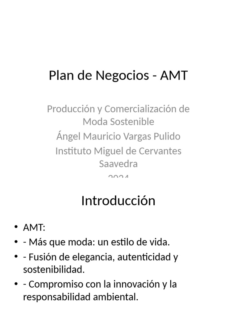 Plan de Negocios AMT | PDF
