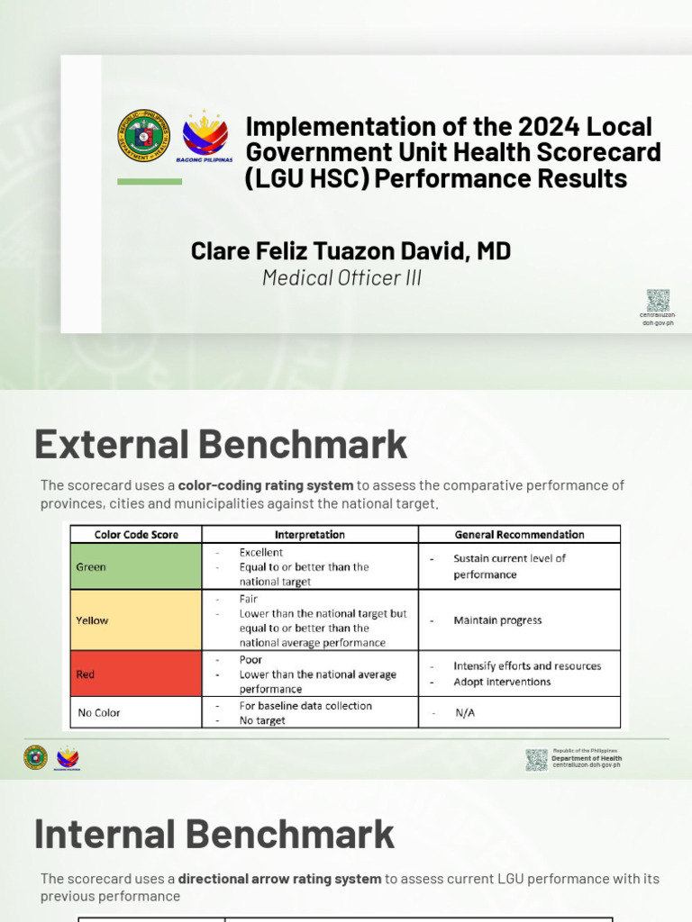LGU HSC 2024 Performance Indicators | PDF | Sanitation | Health Care