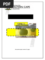 Grade 11 CAT Atp 2025 | PDF | World Wide Web | Internet & Web