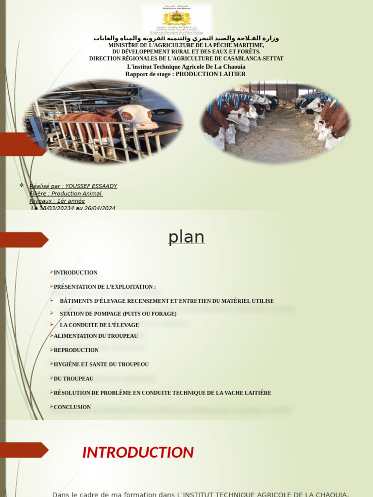 Rapport de stage en production laitière | PDF | Infection | Bovins ...