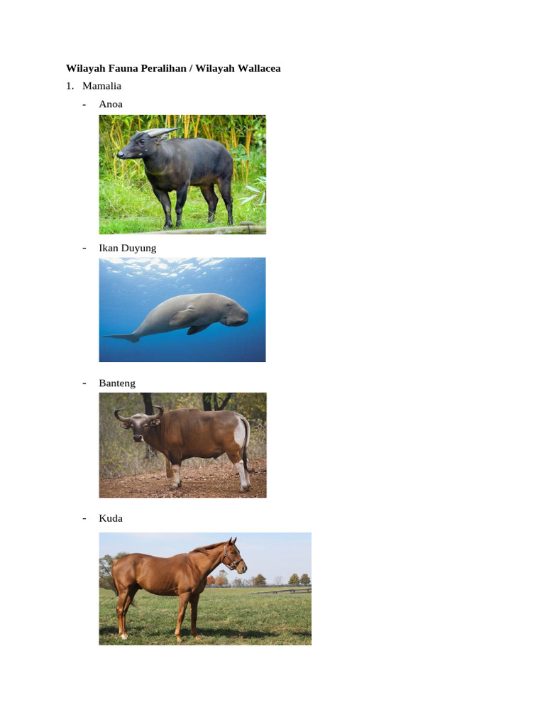 Fauna Wilayah Peralihan Wallacea | PDF