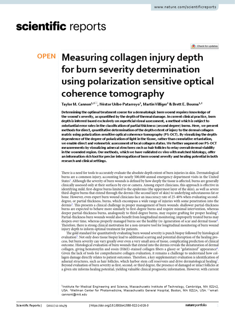 Collagen Injury Depth in Burns via PS-OCT | PDF | Wound | Burn
