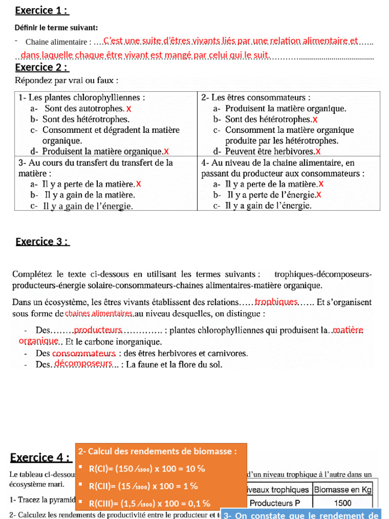 SÃ©rie d'exercices - Flux de la matiÃ¨re | PDF