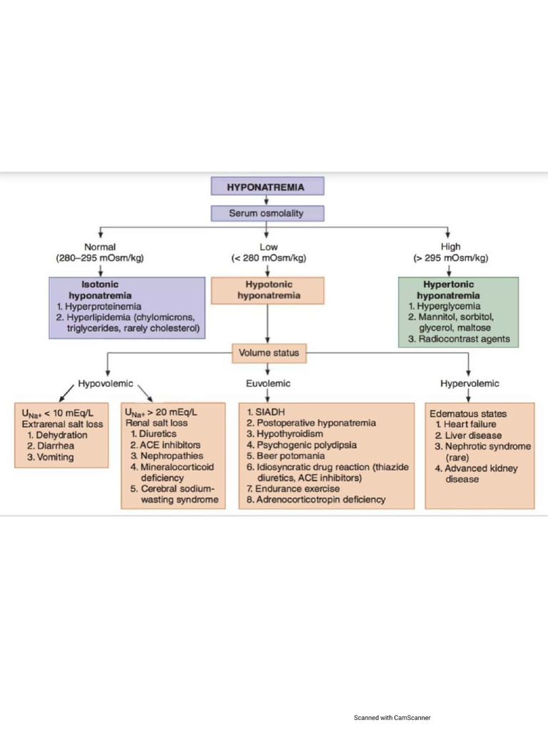 Hyponatremia | PDF