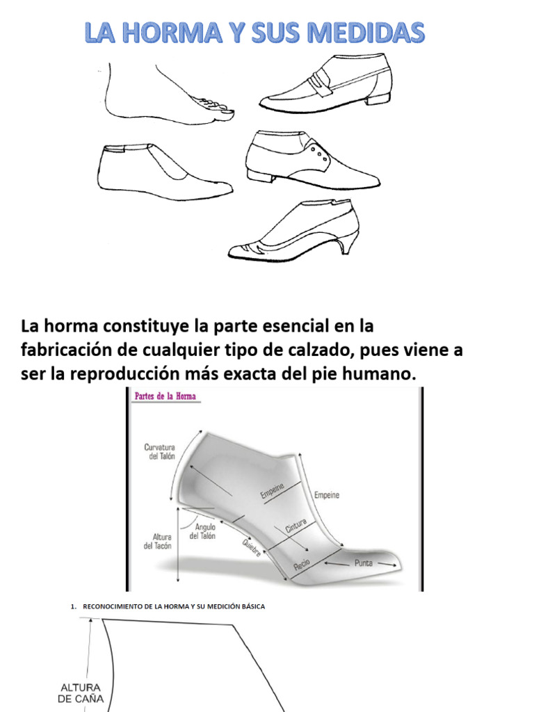 La Horma y Sus Medidas | PDF | Pie | Calzado