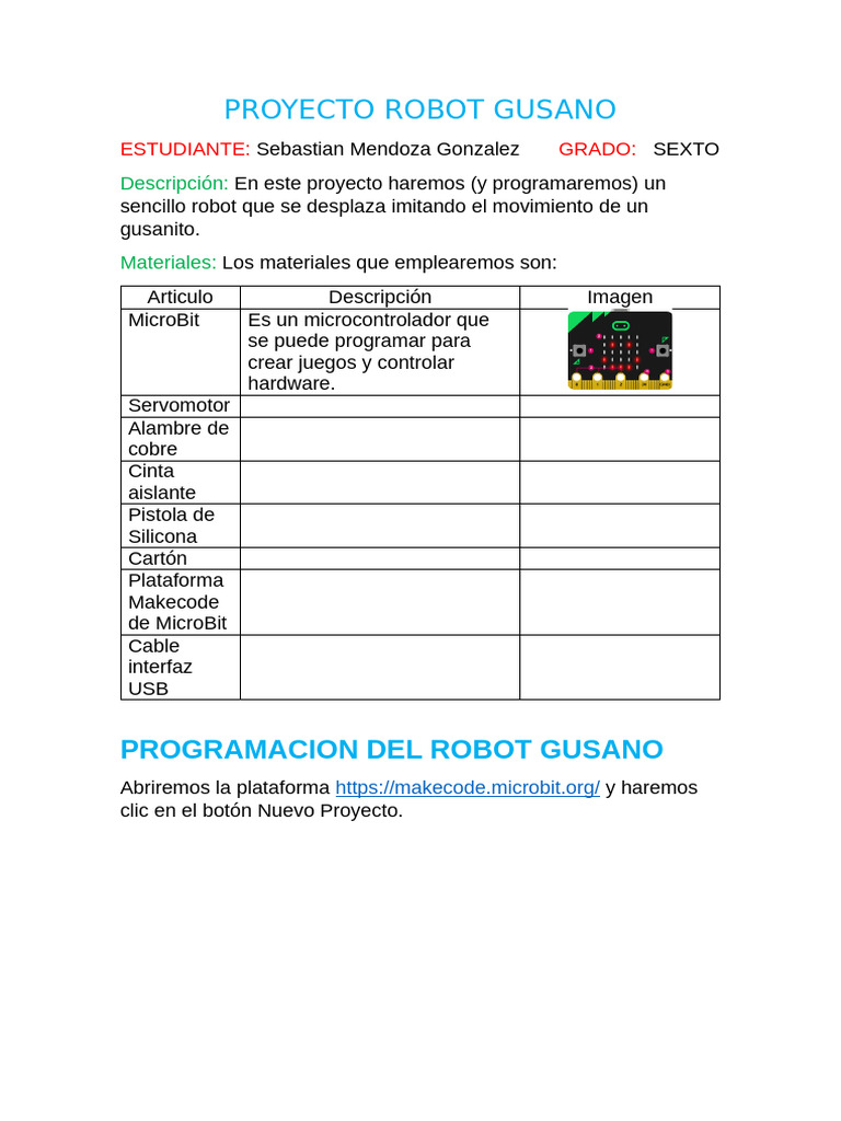 Proyecto Robot Gusano | PDF