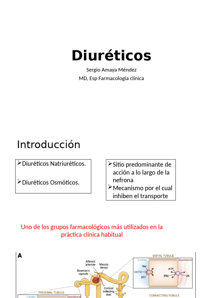 Guía Completa sobre Diuréticos y su Uso | PDF