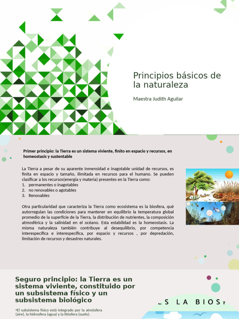 Principios de la Naturaleza y Ecosistemas | PDF | Tierra | Naturaleza