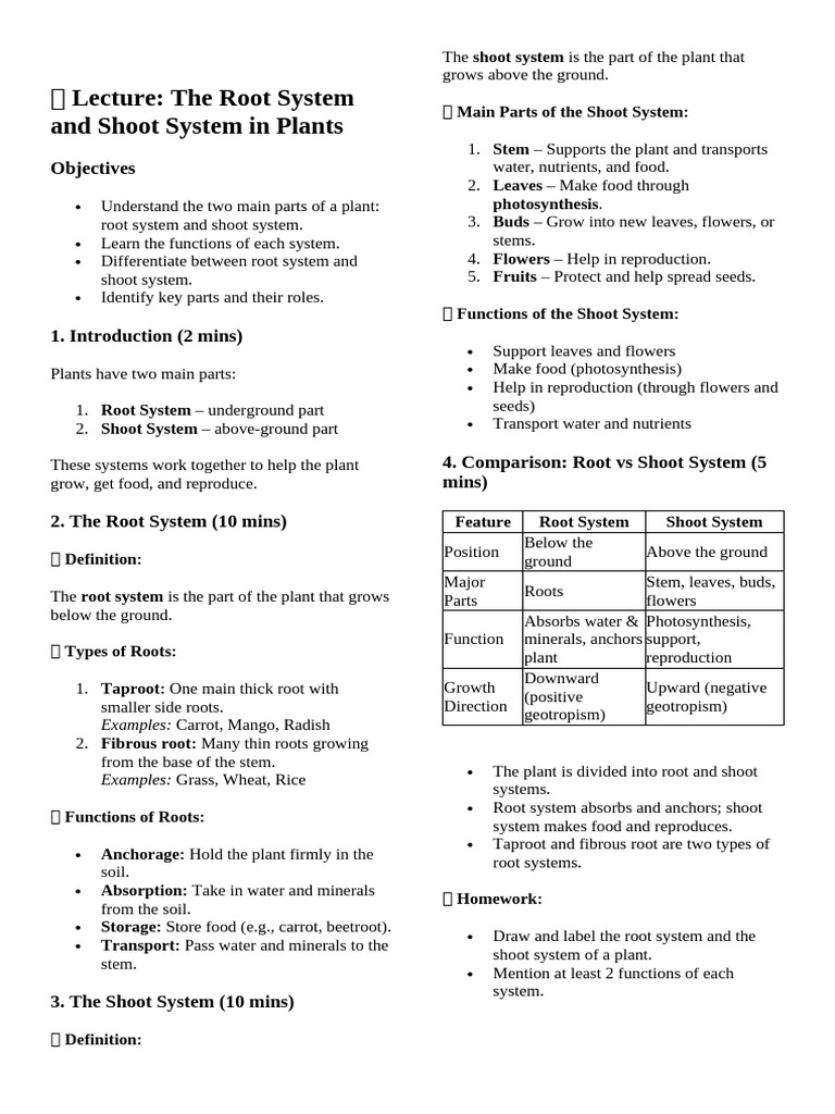 Root and Shoot System of Plants | PDF | Root | Plants