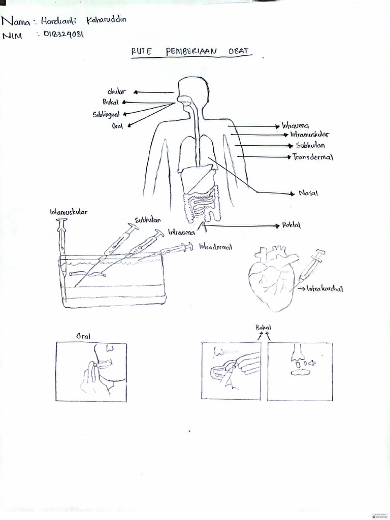 Tugas Biofar & Farmakolonetik Hardianti | PDF
