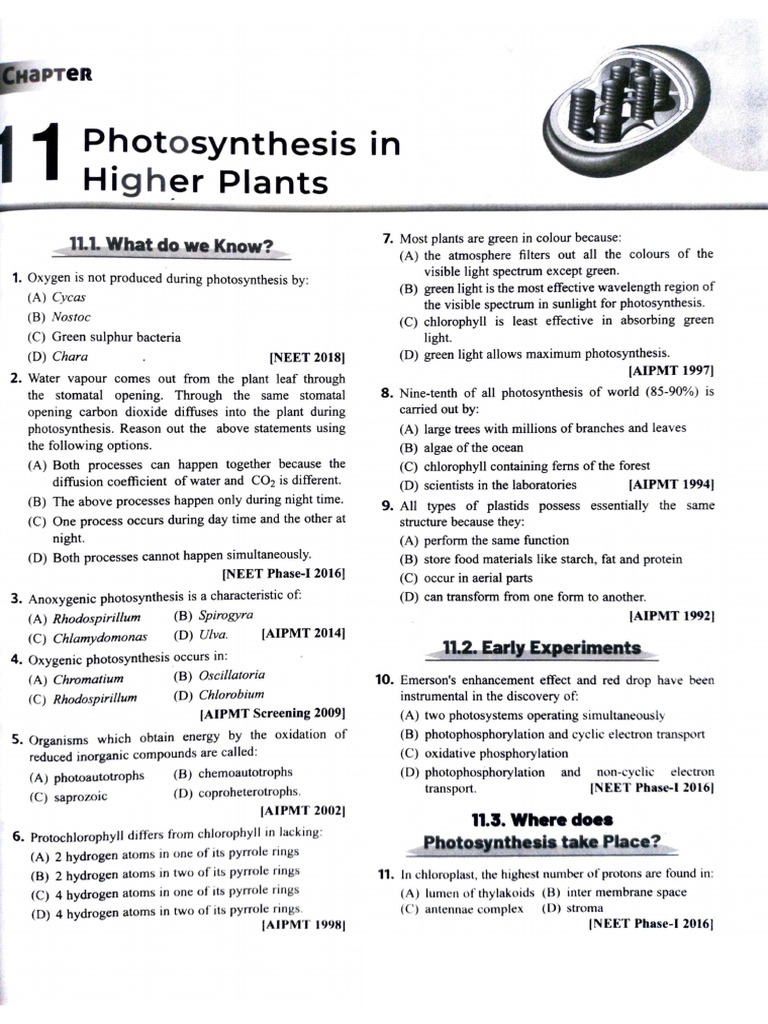 Selfstudys Com File | PDF