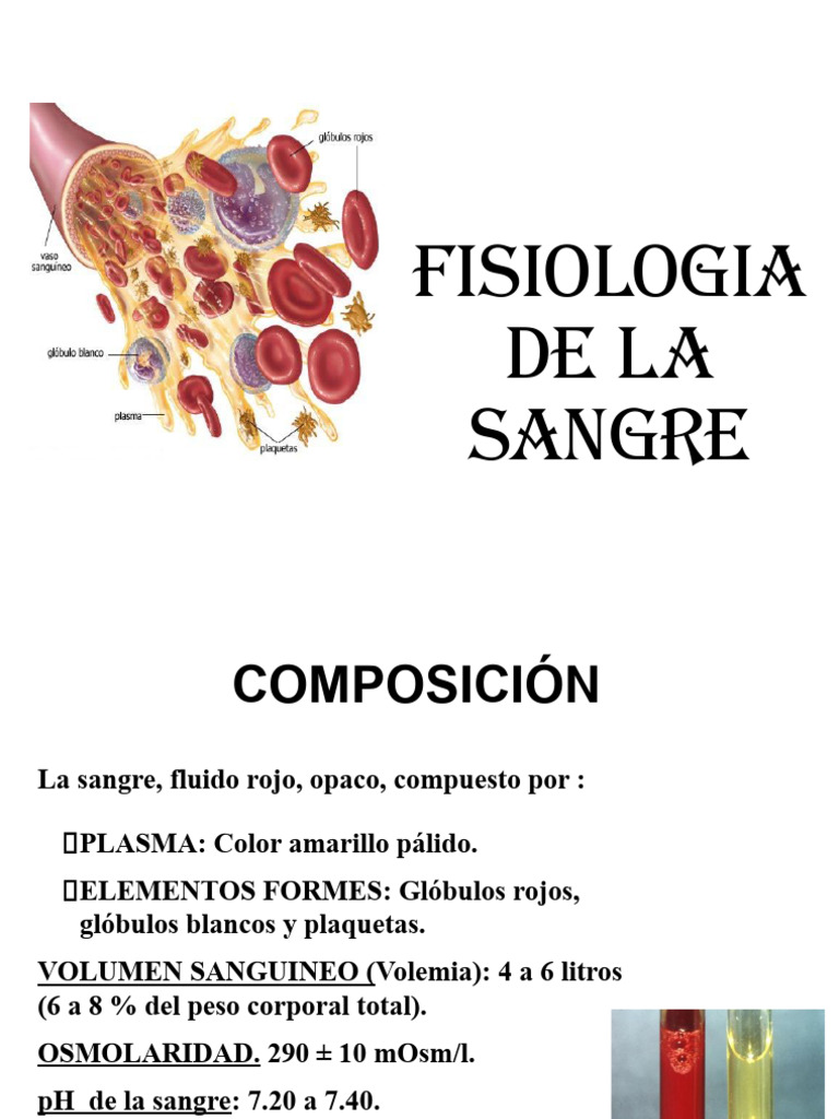 Fisiologia de La Sangre | PDF | Sangre | Leucocito