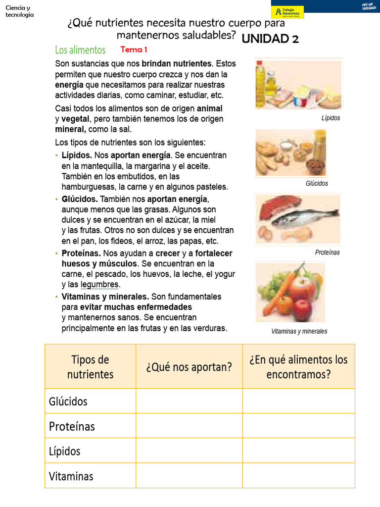Que Nutrientes Necesita Nuestro Cuerpo - Unidad 2 | PDF | Nutrientes ...