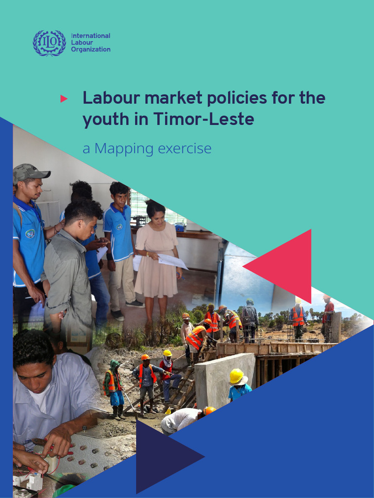 Labour Market TL-mapping Exercise-Link | PDF | Employment ...