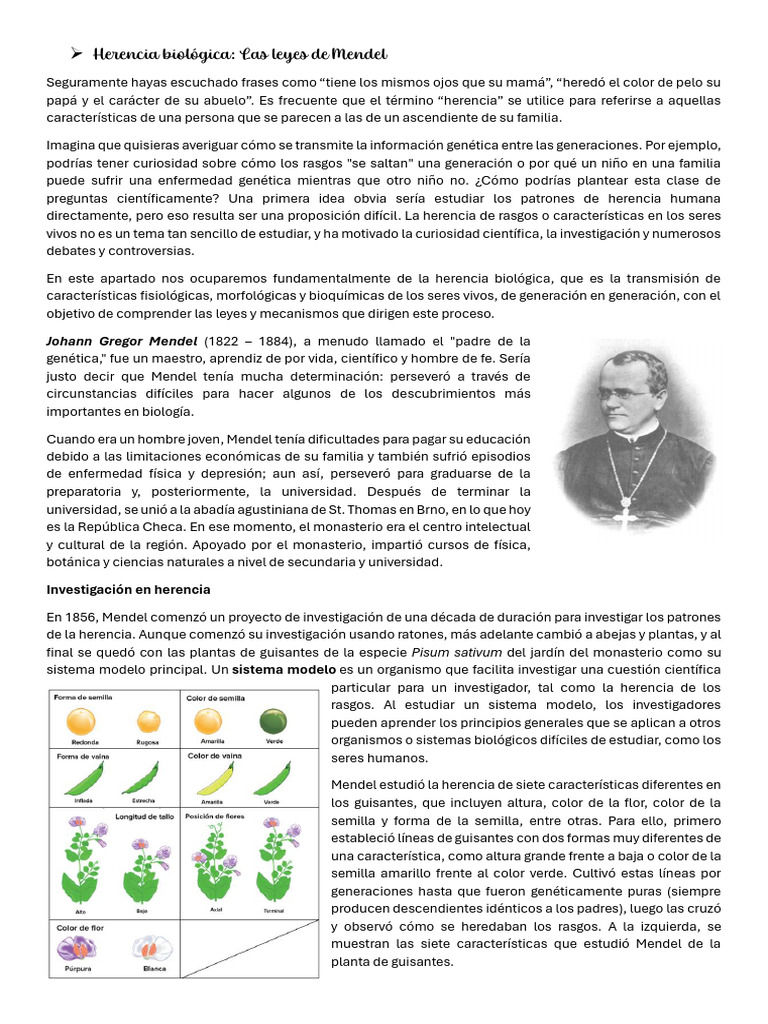 Herencia Mendeliana resumen completo | PDF | Dominancia (Genética ...