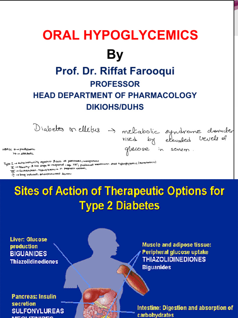 Oral Hypoglycemic Agents Overview | PDF