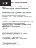 Glosario de briofitos y caulidios | PDF | Hoja | Plantas