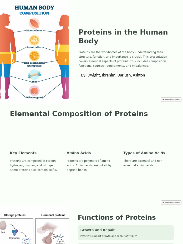 Proteins in The Human Body | PDF