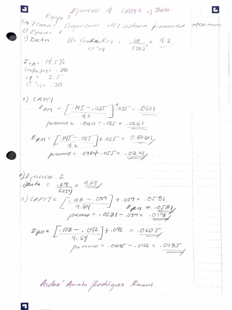 CAPM | PDF