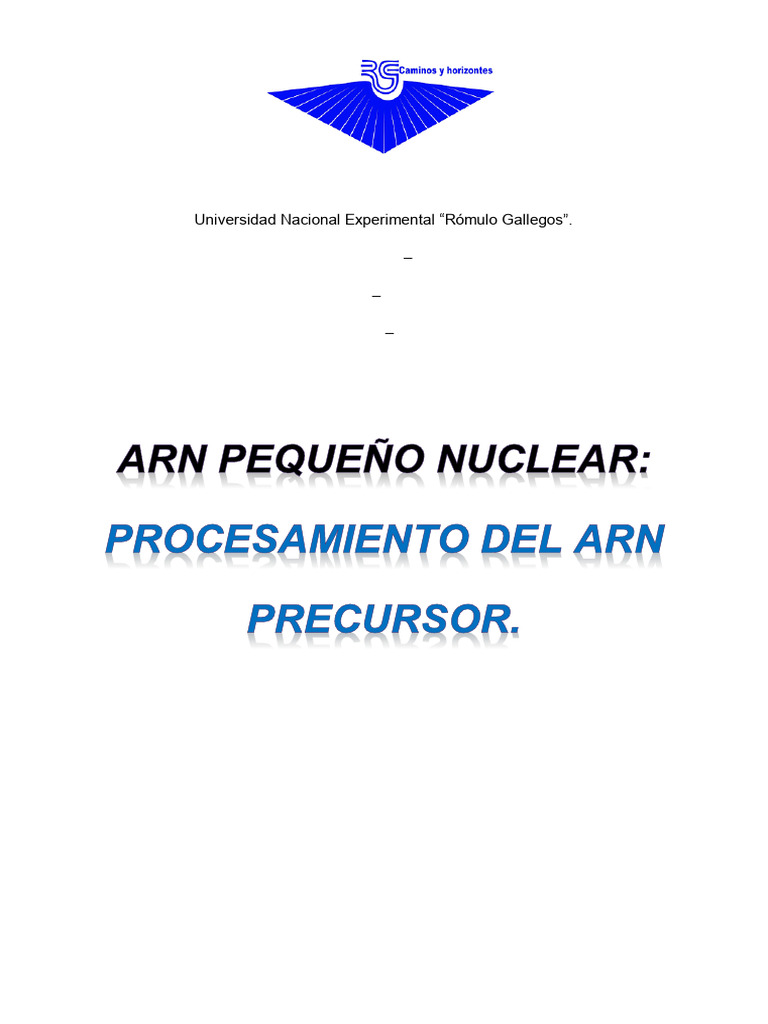 ARN Pequeño Nuclear | PDF | Rna Splicing | Messenger Rna