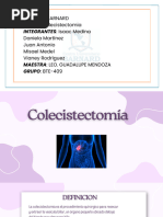 Técnicas Quirúrgicas de Hartmann | PDF | Intestino grueso | Cirugía