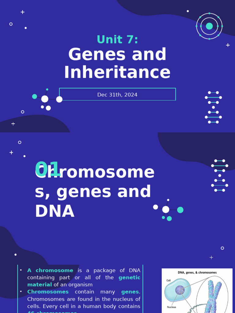 Genes and Inheritance | PDF | Gene | Heredity