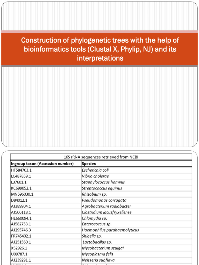 Construction of Phylogenetic Trees | PDF