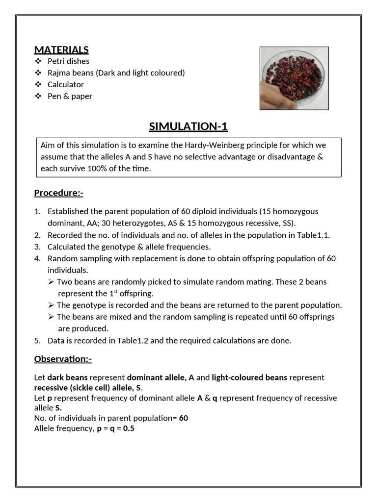 Evolutionary Biology Simulation Exercise 1 | PDF | Zygosity | Dominance ...
