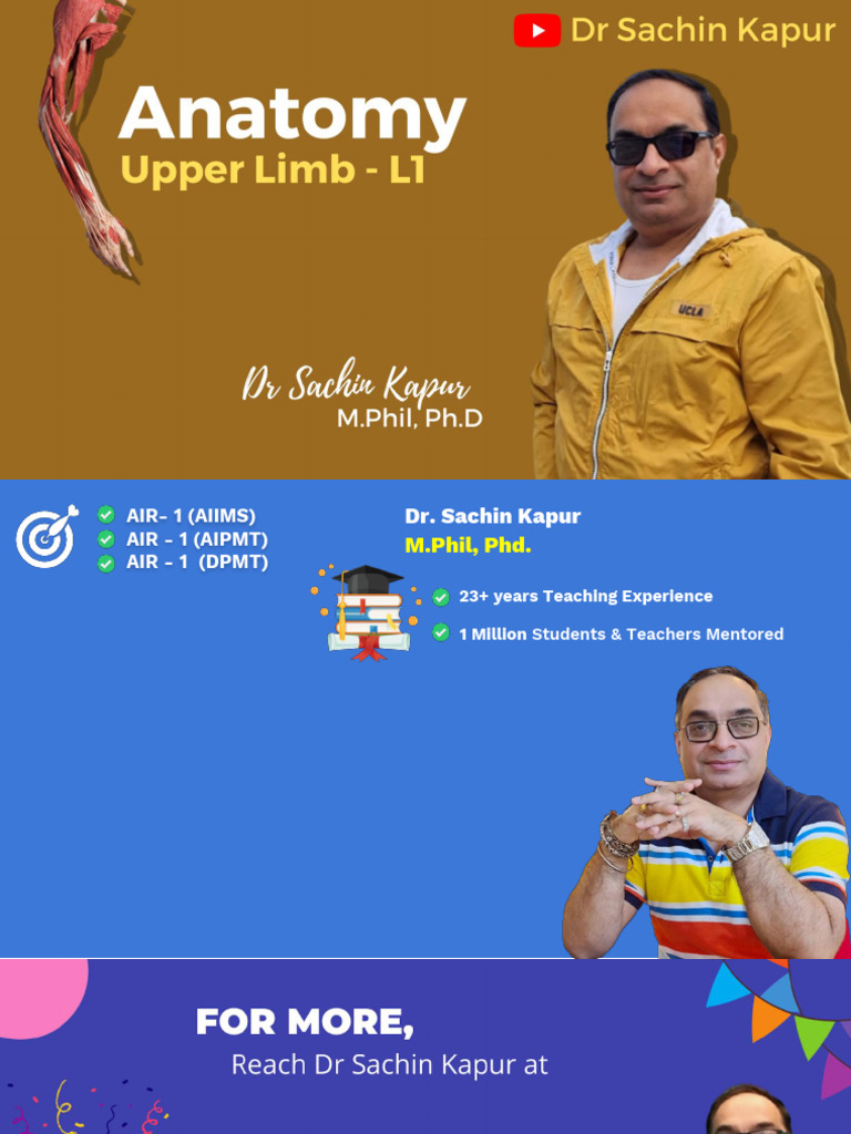 Anatomy and Function of the Upper Limb | PDF | Arm | Human Anatomy