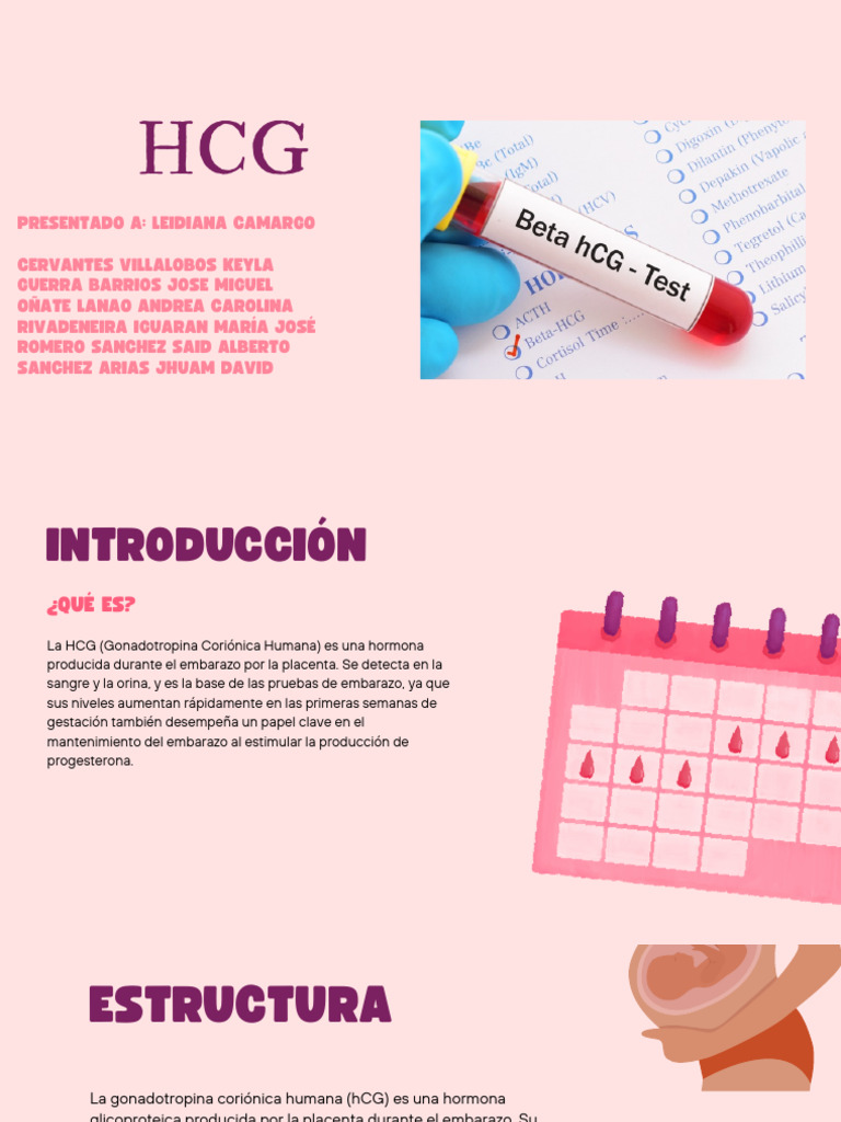HCG diapositivas | PDF | Gonadotropina coriónica humana | Gonadotropina