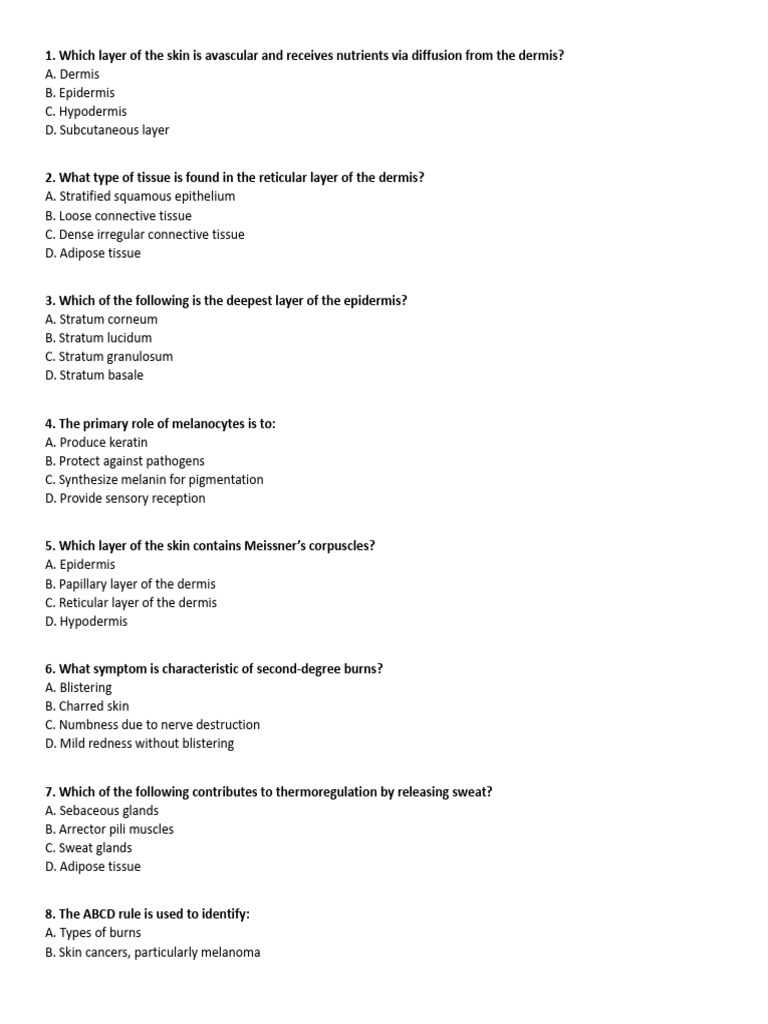 Skin Anatomy and Functions Quiz | PDF | Skin | Epidermis