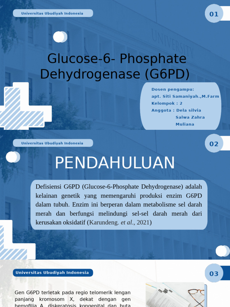 KLP 2 G6PD Farmakogenetik Dan Farmakogenomik | PDF