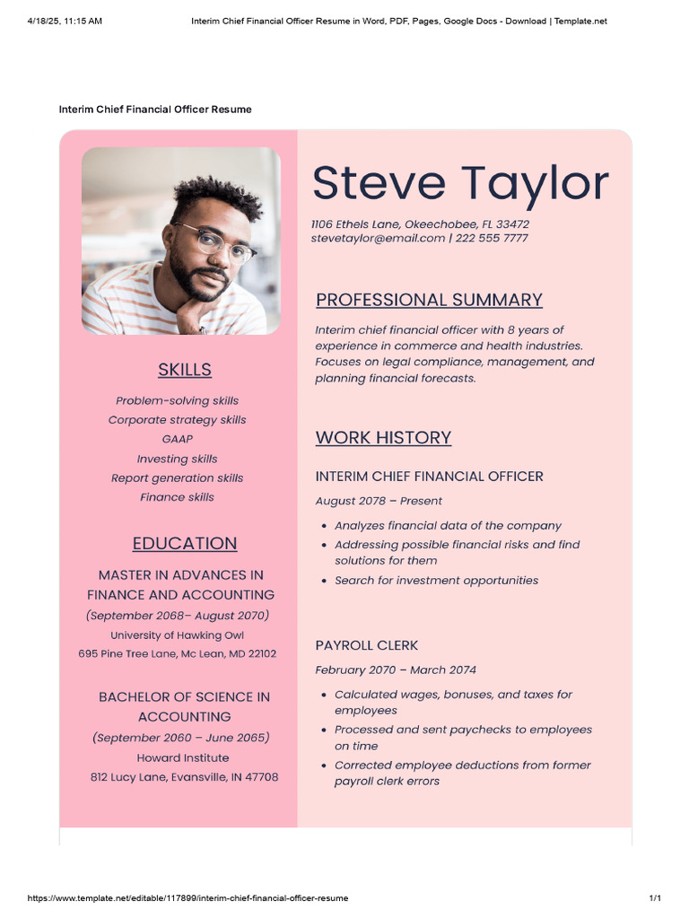 Interim Chief Financial Officer Resume in Word, PDF, Pages, Google Docs ...