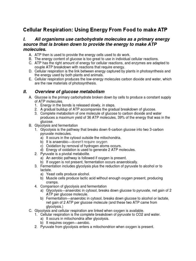 Cellular Respiration and ATP Production | PDF | Cellular Respiration ...