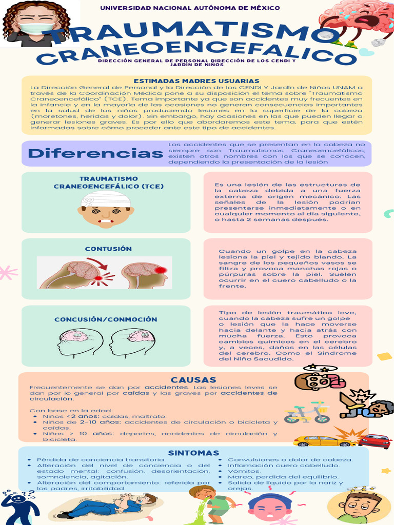 Guía sobre Traumatismo Craneoencefálico | PDF | Lesión cerebral ...