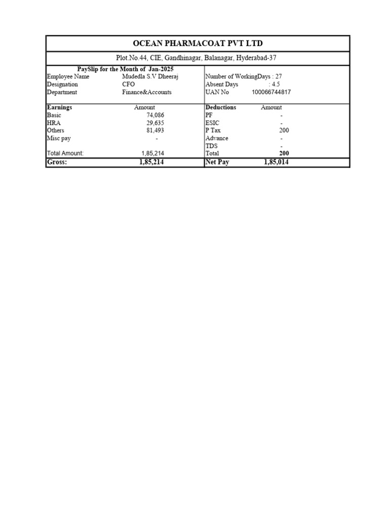Ocean Payslip_ Feb2025 | PDF