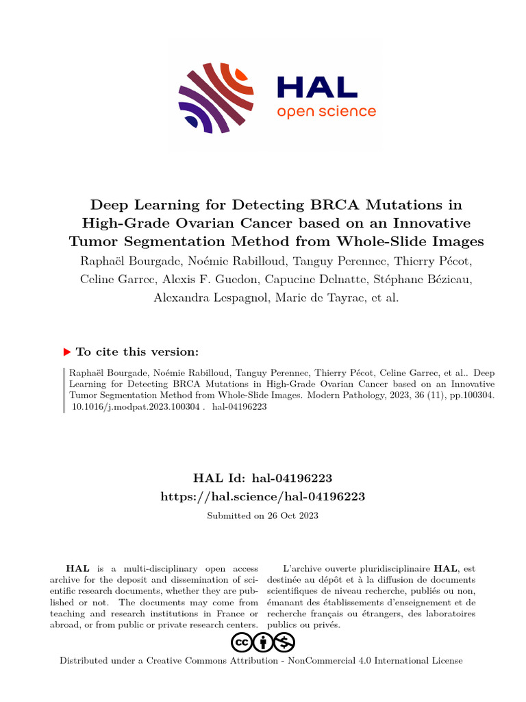 Deep Learning For Detecting BRCA Mutations in High-Grade Ovarian Cancer ...