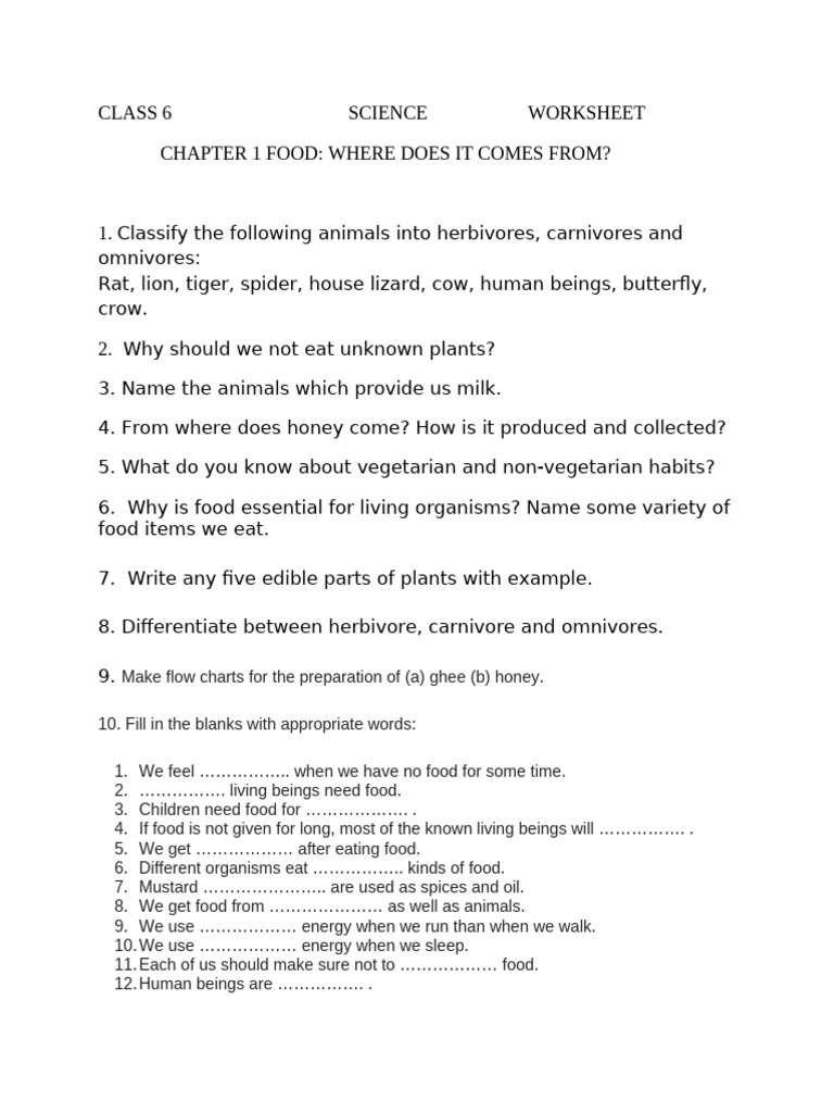 science worksheet | PDF