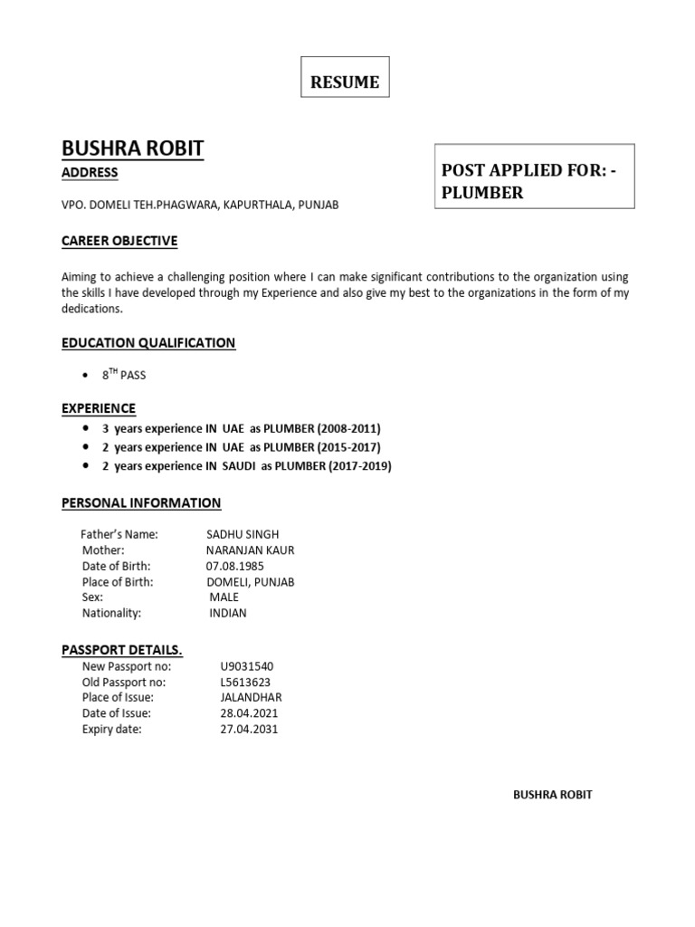 ROBIT BUSHRA CV (11 files merged) | PDF
