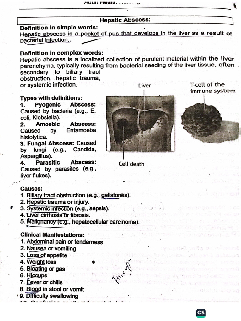 Liver Disease AHN Chapter 1 | PDF