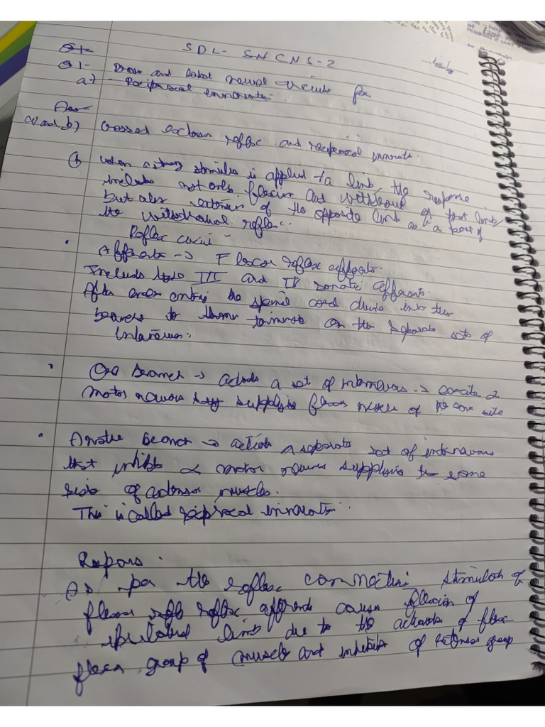 Physiology SDL CNS -2 | PDF