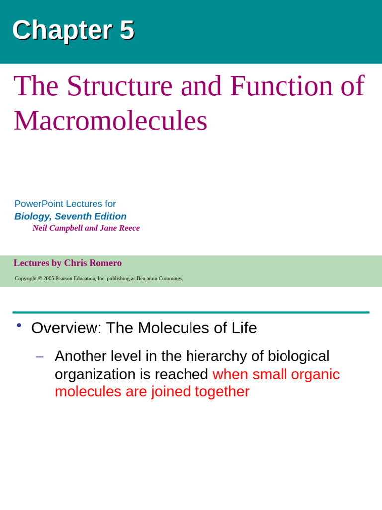 5d. Chapter 5 The Structure and Function of Macromolecules | PDF ...